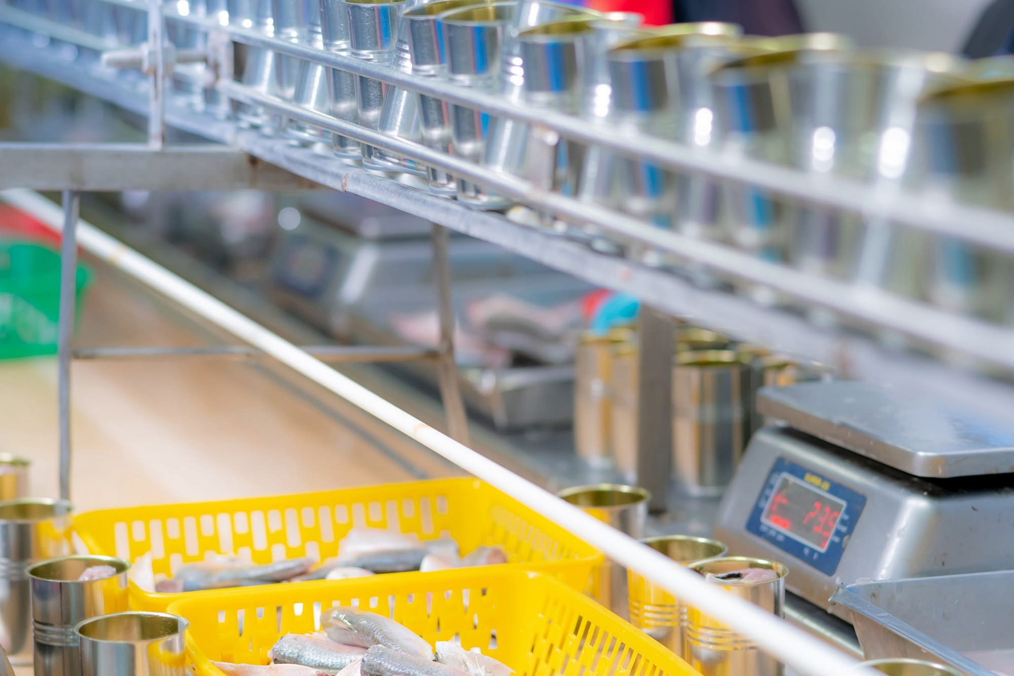 Oceamic II, fish cannery in Morocco, Laayoune Conserverie