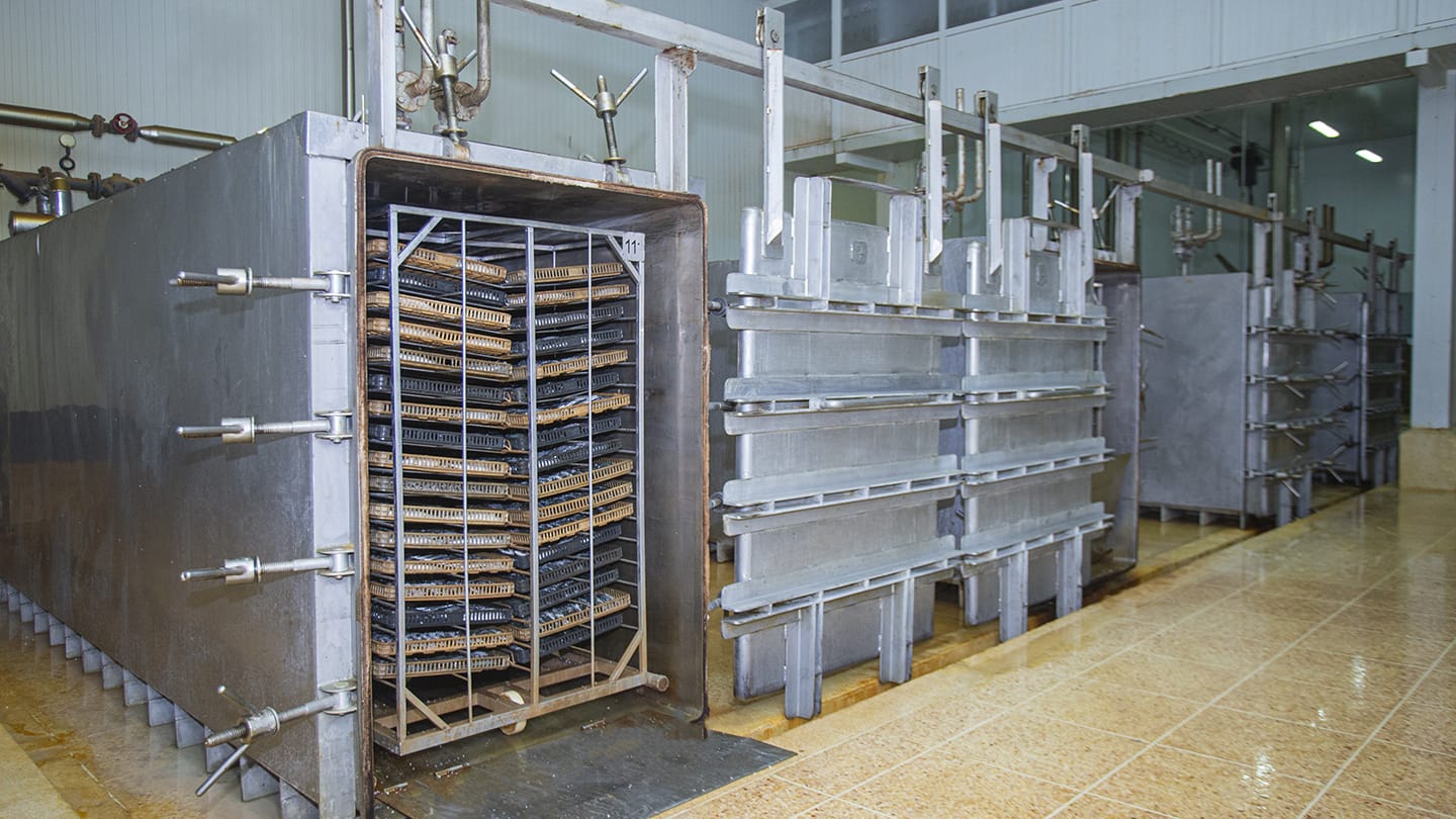 Oceamic II, fish cannery in Morocco, Laayoune Conserverie