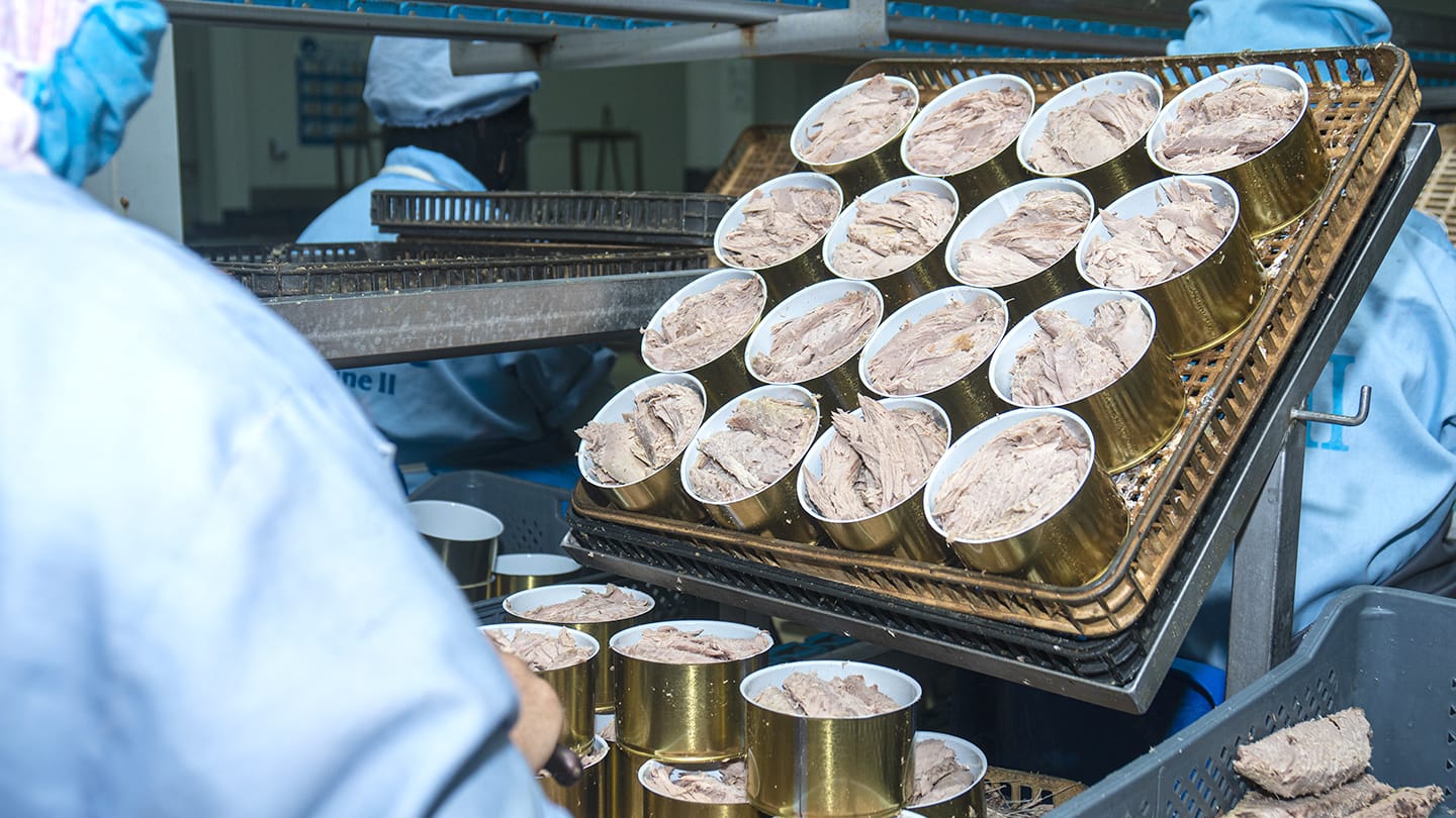 Production of canned pink tuna in Morocco, several recipes